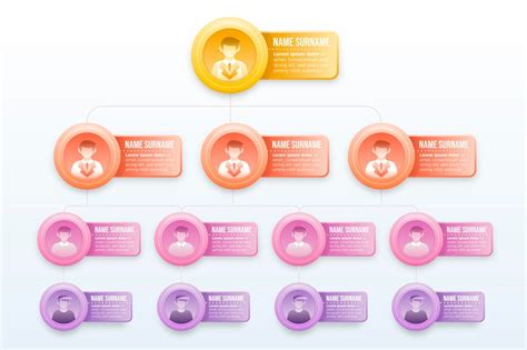 Exemple Infographie Organigramme Vecteurs Téléchargez Gratuitement Des Vecteurs De Haute