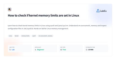 How To Check If Kernel Memory Limits Are Set In Linux Labex