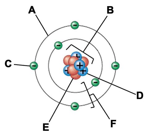 Label The Missing Components On The Diagram Below Drag The