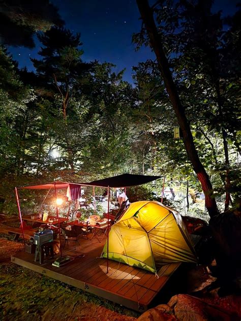 여름에도 추위가 느껴지는 용화산자연휴양림 야영장 314번 사이트 이용기니모 오로라텐트 2p 네이버 블로그