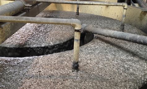 Woodgrove Staged Flotation Reactor Woodgrove