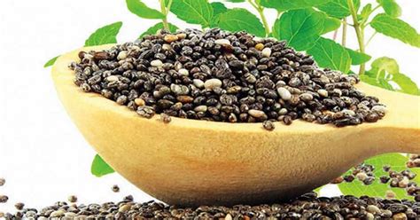 მცენარე რომელიც ორაგულზე 2 ჯერ მეტ ომეგა 3 ს შეიცავს წაიკითხეთ ყველაფერი რაც ჩიას თესლზე