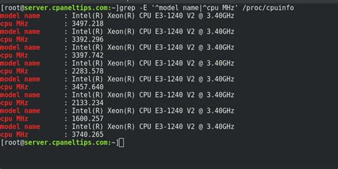 Disable CPU Frecuency Scaling On Linux And Run Your CPU At Full Speed