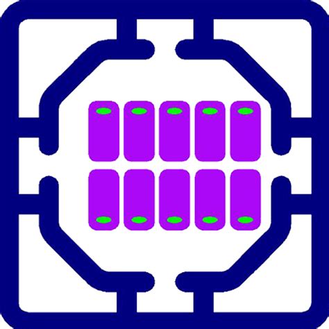Barrier Functions Biopico Systems