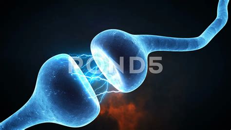 Neuron Synapse Animation