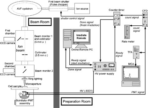 Schematic Diagram Of Microbeam Generation And Ion Counting Download