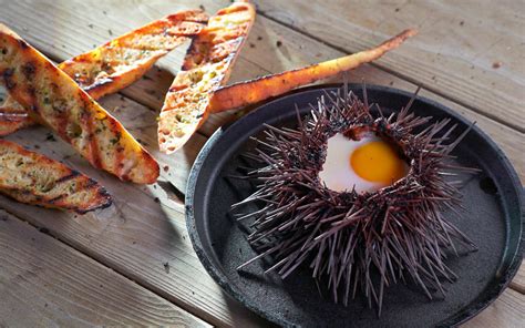Egg On Eggs Grilled Sea Urchins Recipe