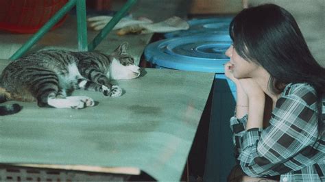 김 갑주 On Twitter 냥이 사랑해 ㅡ 💗