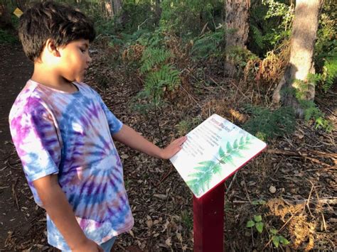 Best Margaret River Walking Trails And Hikes Western Australian Travel