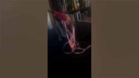 Kitty Uh Youtube