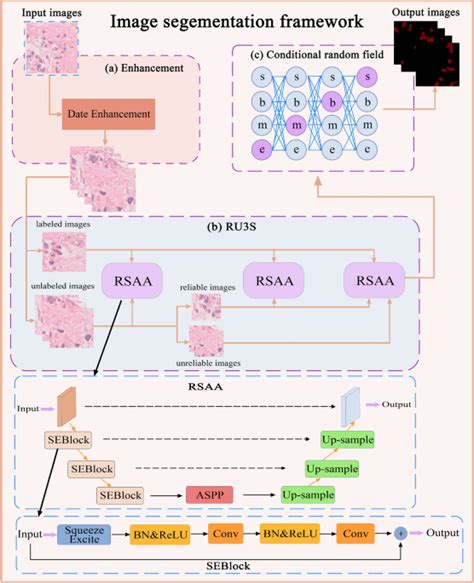 Revolutionizing Medical Diagnostics With Ai A Leap Forward In Cytopathology Success Focused