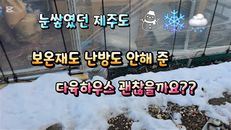 보온재도 난방도 안한 다육하우스 괜찮을까요 다육 다육이 다육식물 다육하우스 Succulent Youtube
