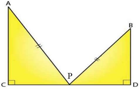Selina Solutions Concise Maths Class 7 Chapter 16 Pythagoras Theorem