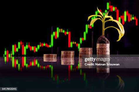 Tree Graph Photos And Premium High Res Pictures Getty Images