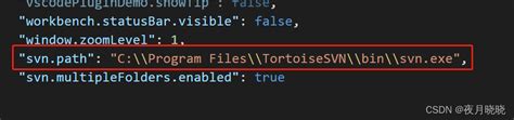 Vscode中使用svn插件vscode Svn插件 Csdn博客