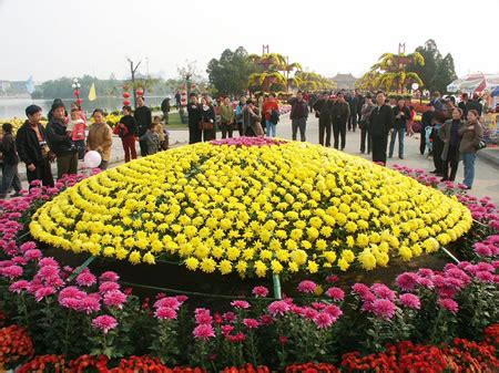 第27届中国开封菊花花会专题 新华网河南频道