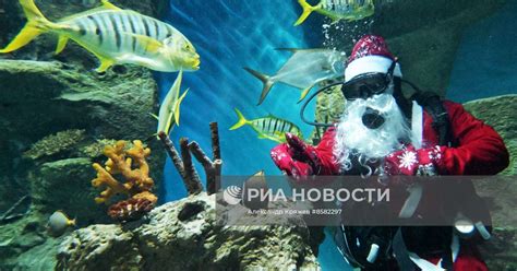 Дайвер в костюме Санта Клауса в Новосибирске РИА Новости Медиабанк