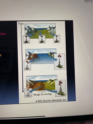 Evolution Midterm 2 Flashcards Quizlet