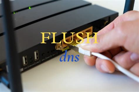 MacOS How To Flush DNS MacReports