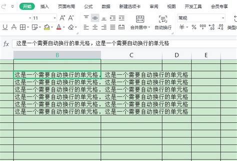 wps表格操作自动换行怎么设置 应用软件 赛效