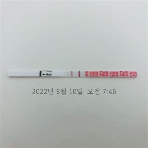 임신 기록 31세 임신 임테기 두 줄 확인과 난임병원 검사 결과자연임신 네이버 블로그