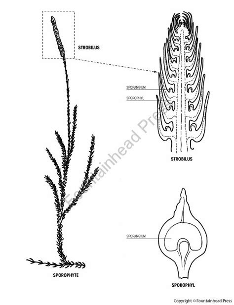Biology