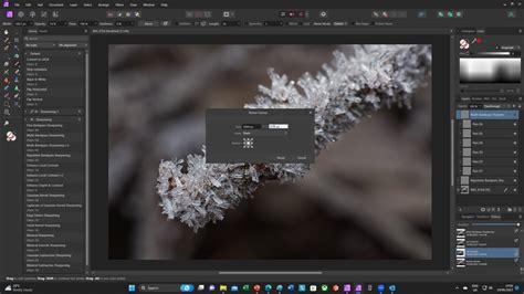 Resizing Canvas Size Will Not Work Desktop Questions Macos And Windows Affinity Forum