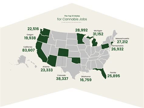 The Face Of Cannabis Who Works In The Cannabis Industry Today