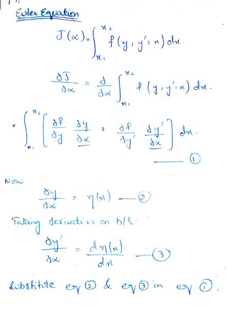 SOLUTION Euler Equation And Examples Studypool