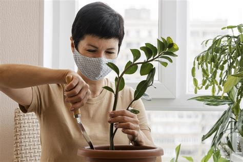Cómo Hacer Letreros Para Cuidar Las Plantas Para Niños