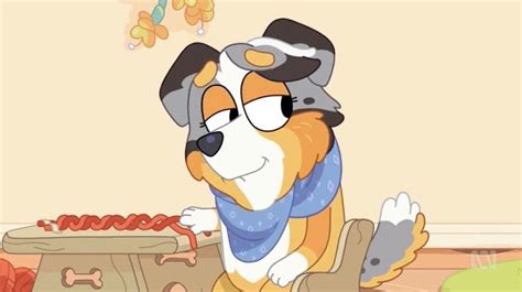 Bluey Calypso Season 1 Episode 17 Di 2025