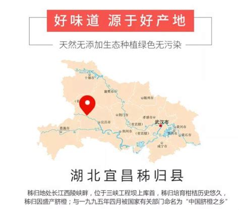 採用最原生態的種植方法他們種出了一款能直接喝的臍橙 每日頭條
