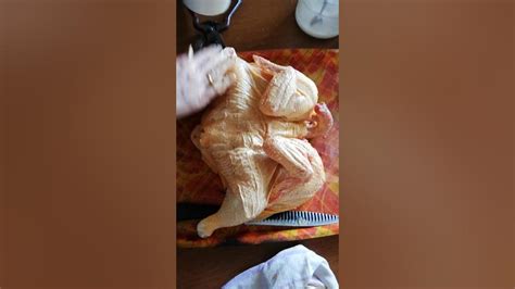 შემწვარი ქათამი აჯიკით Youtube