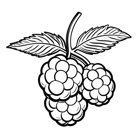 Simple Raspberry Outline Icon For Fruity Designs 45916921 Vector Art At Vecteezy