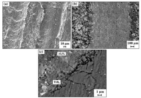 Sem Morphologies Of Worn Surfaces A Pure Al Substrate B And C Download Scientific Diagram