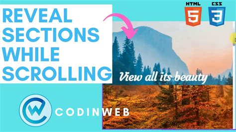 Css Reveal Sections On Scroll Css Tips And Tricks Codinweb Youtube