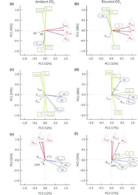 Principal Component Analysis Pca Highlighting Independent Axes Of