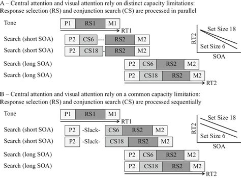 A If Visual And Central Attention Rely On Distinct Capacity