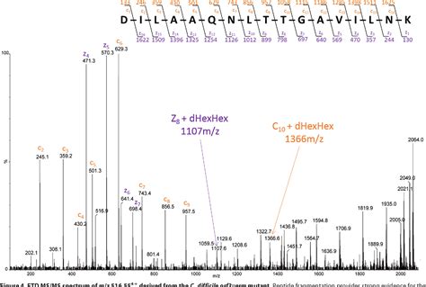 Figure 1 From The S Layer Protein Of A Clostridium Difficile Slct 11 Strain Displays A Complex