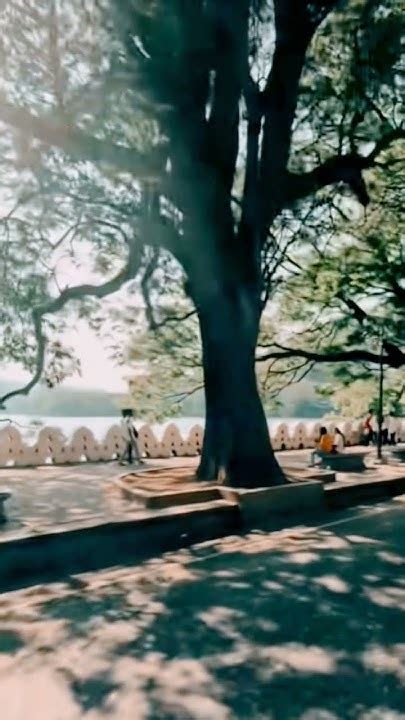 මං කියන්නේ මැරෙන්න කලින් මනුස්සයෙක්ට එයා ආස කරපු ආදරේ ලැබෙන්න ඕනේ ️🫶🥹 Youtube