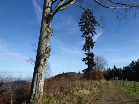 www.inntranetz.at - Wanderung - 2017 - alpenberg