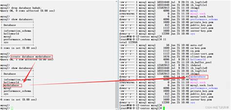 【mysql】—— 数据库的操作查看数据库信息、字符集、校验规则 Csdn博客