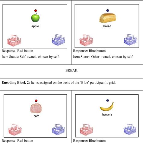 Experiment 2 Example Encoding Procedure Red Participant To View Download Scientific