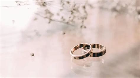 Effs Mente Calls For Full Implementation Of Sadc Model Law On