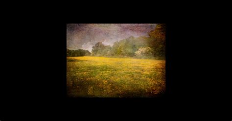 Painted Fields Of Yellow Fields Of Gold Sticker Teepublic