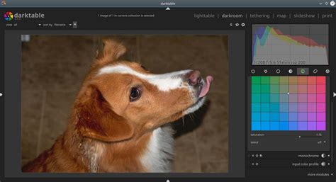 A look at darktable â RAW developer on GNU Linux gHacks Tech News