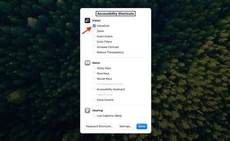 How To Turn Voiceover On And Off On Your Mac