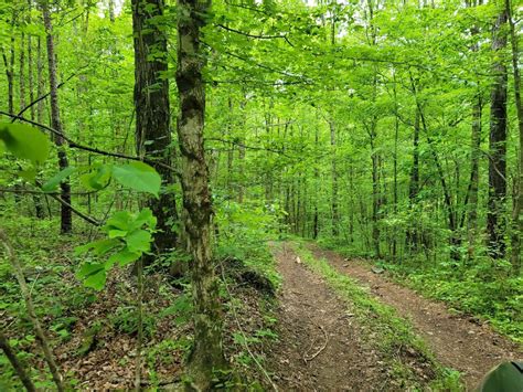 Turner Over Bypass Alabama Gps Trail Map Conditions And Difficulty