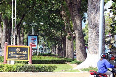 រូបថតប្រចាំសប្តាហ៍៖ រុក្ខវិថីបៃតងបំផុតនៅក្នុងរាជធានីភ្នំពេញ ក្រសួងព័ត៌មាន