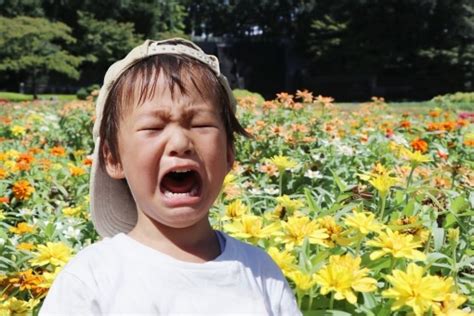 怒っている人もほほえんでくれる方法 道歌今日も良いことがあるように